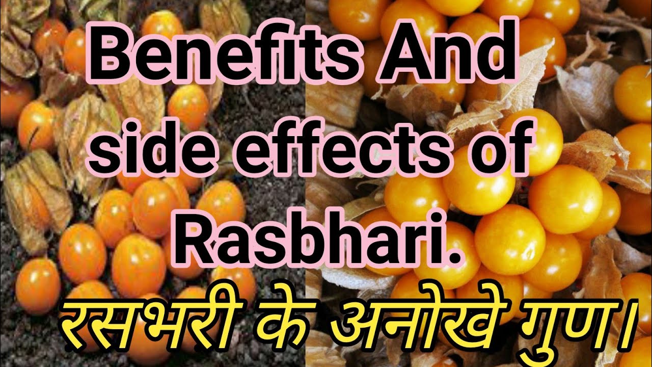 Benefits and side effects of rasbhari. रसभरी के फायदे और नुकसान। - YouTube