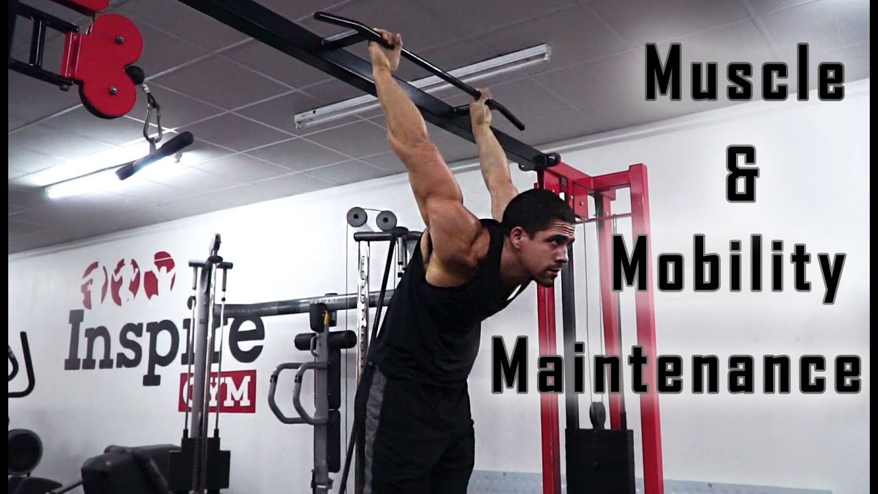 Muscle Mass Maintenance while Traveling: Full body Strength and ...