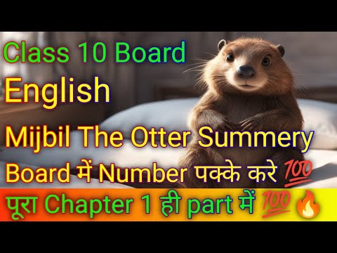 Mijbil The Otter || Class 10 English Chapter 8 ki Summary || Mijbil The ...