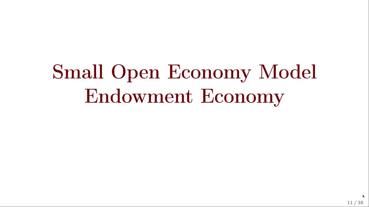 International Macro - Lecture 4 - SOE Endowment Economy - YouTube