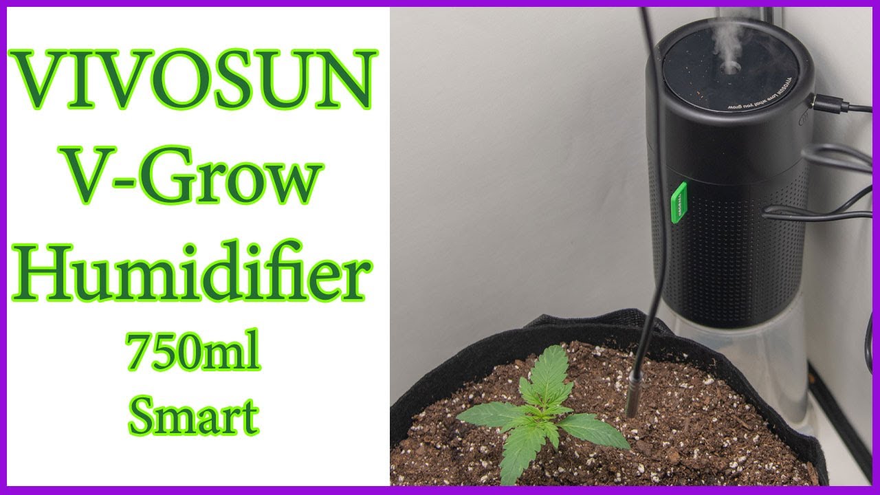 Vivosun V-grow Humidifier VSE-ASU075 Smart 750ml - YouTube