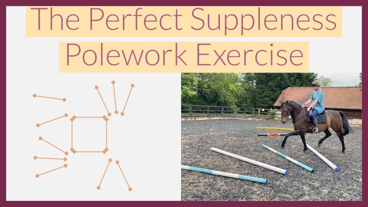 The Perfect Horse Suppleness Pole Exercise - YouTube