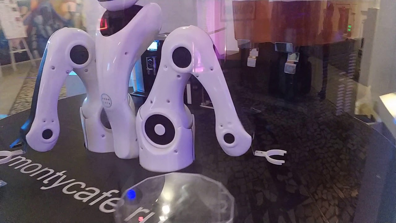 Robot Monty take part in robots exhibition www.montycafe.com - YouTube
