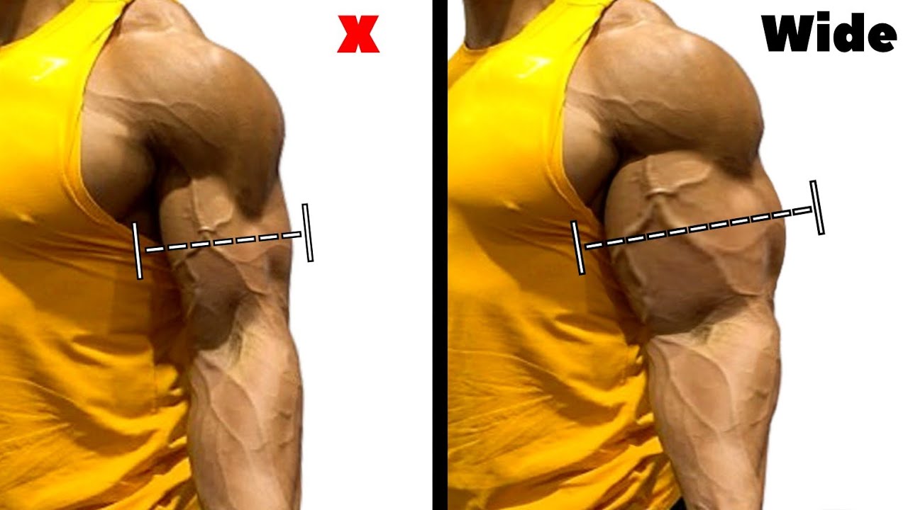 Full Biceps Workout at Gym to Wider Biceps ( Effective ) - YouTube