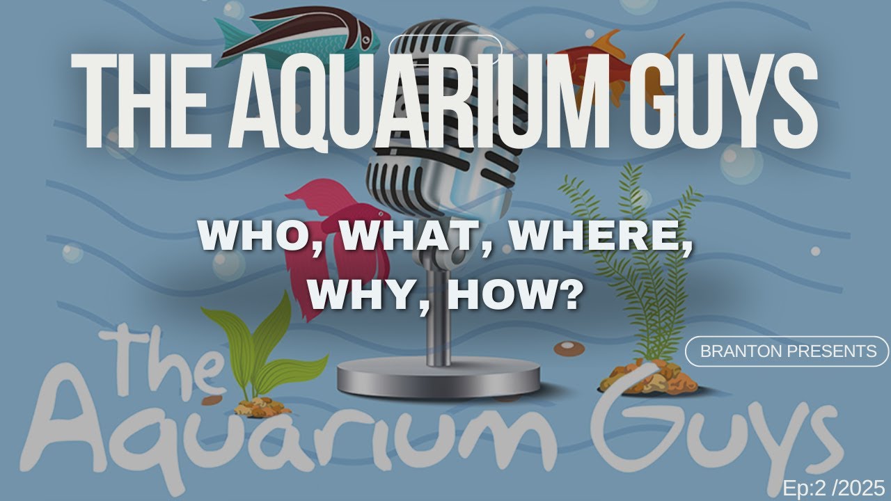 Who Are The Aquarium Guys? - YouTube
