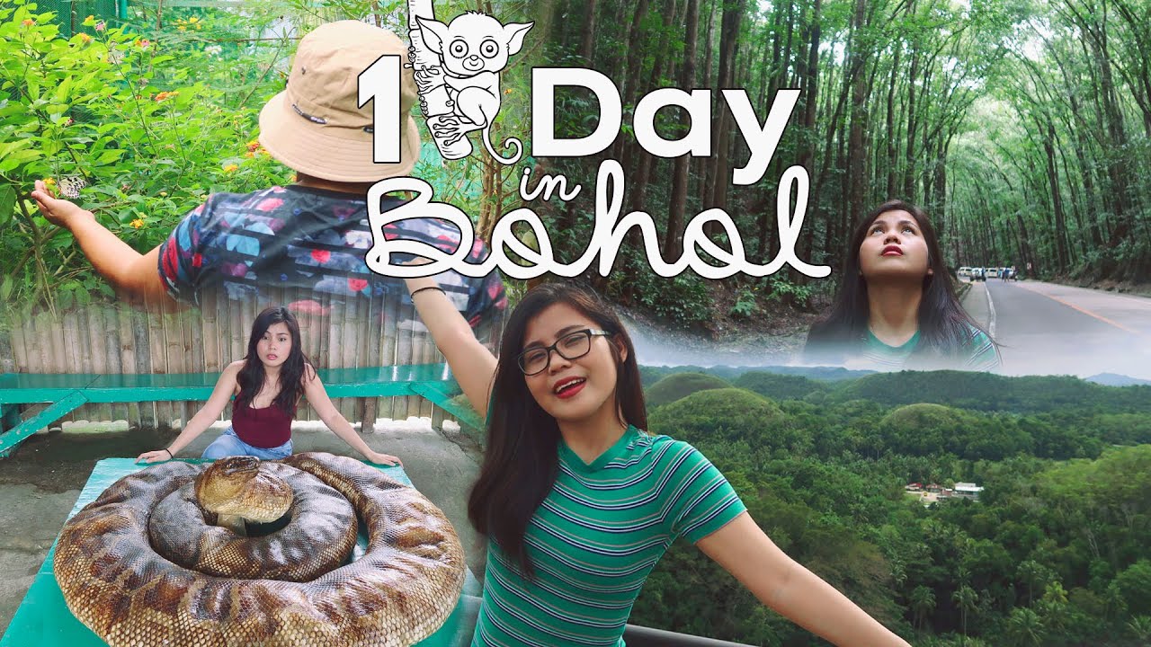 1 DAY IN BOHOL I THE ULTIMATE ITINERARY - YouTube