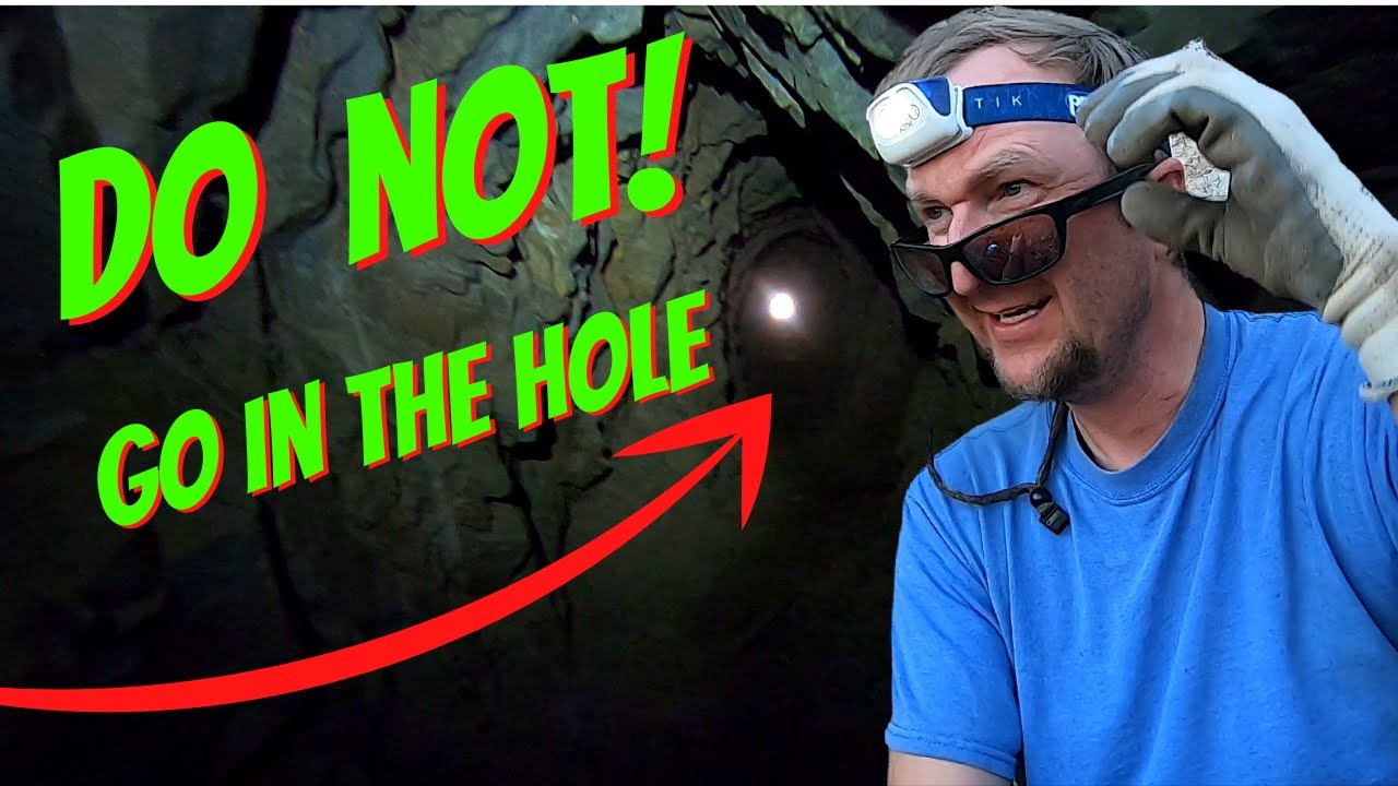 WILD ANIMALS in an ABANDONED GOLD MINE! - YouTube