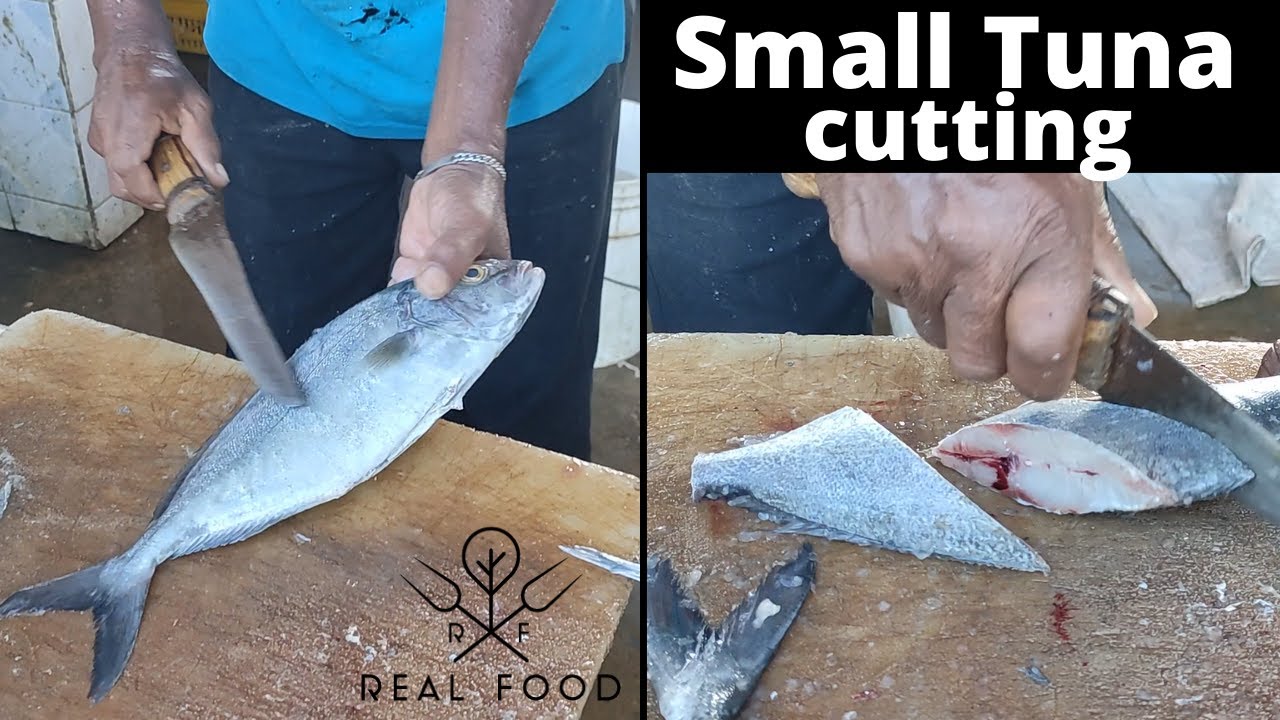 🔥Preparación de Atún Medregal | Small Tuna Cutting | Fish cutting ...
