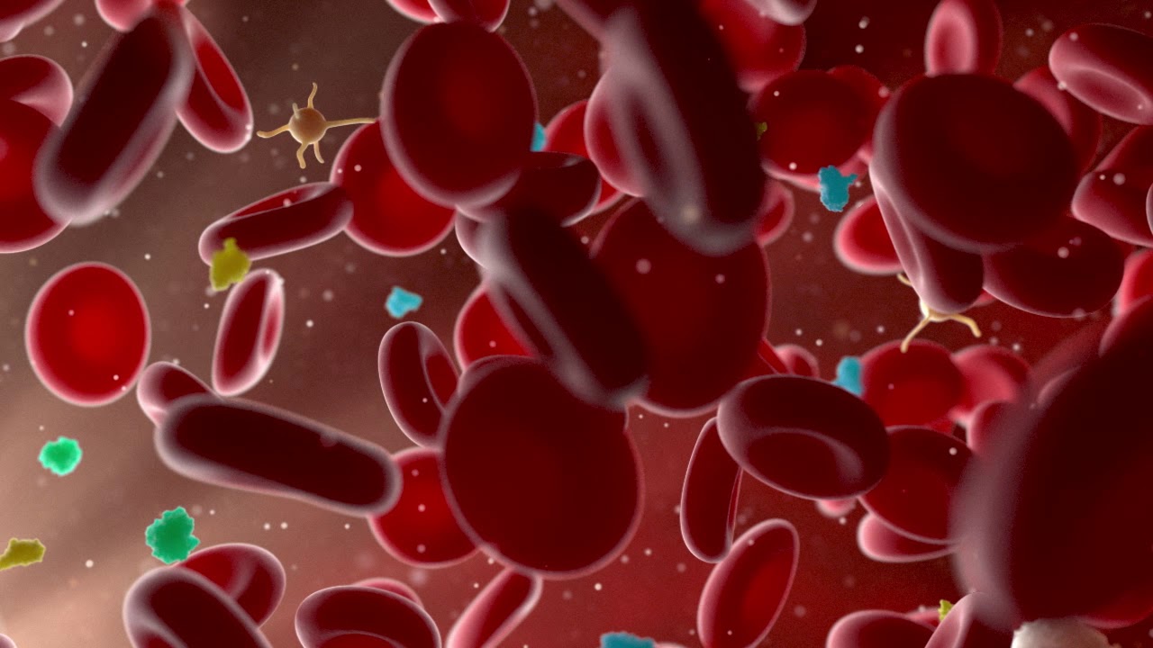 BLOOD SSS Look Development - YouTube