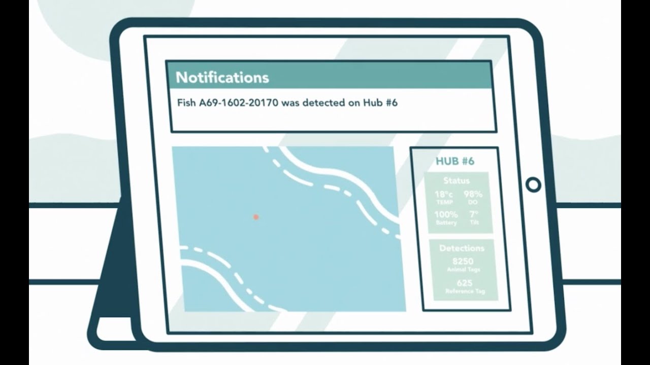 Fathom Software: A New Era in Fish Tracking - YouTube