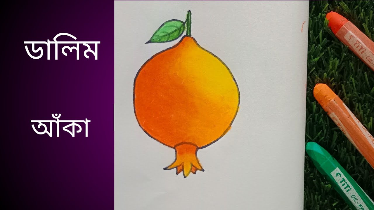 How to draw pomegranate // anar drawing//ডালিম আঁকা - YouTube
