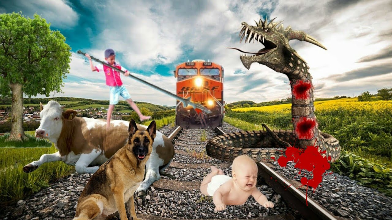 anaconda snake 3 in real life hd video | anaconda snake real story ...