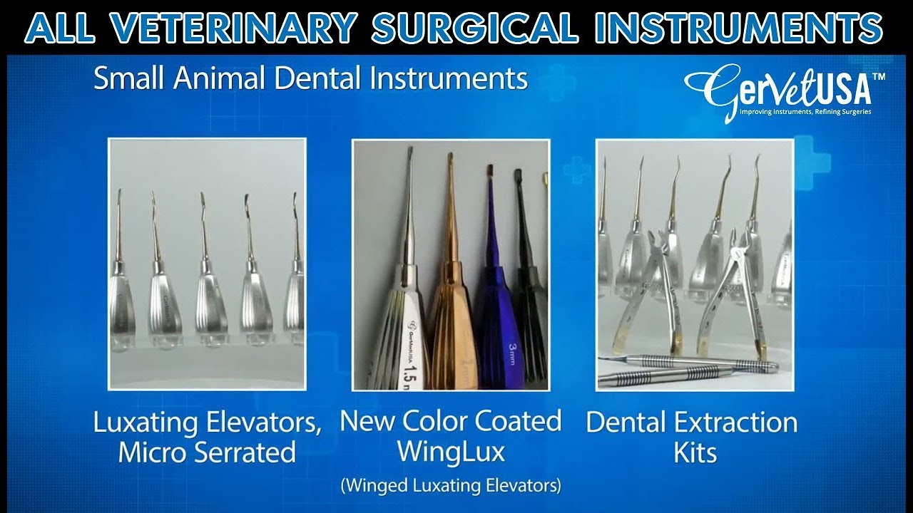 Veterinary Surgical Tools