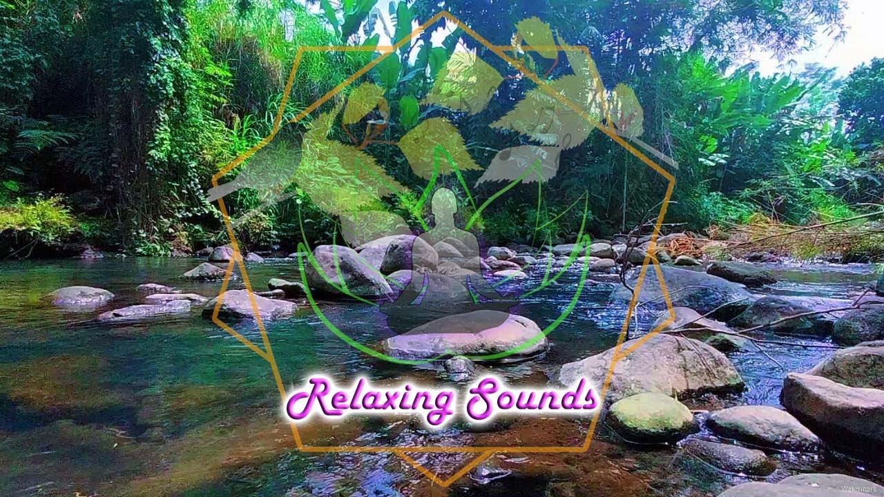 Relaxing Sounds Harmony - River Sounds Harmony Music for Relaxingthe ...