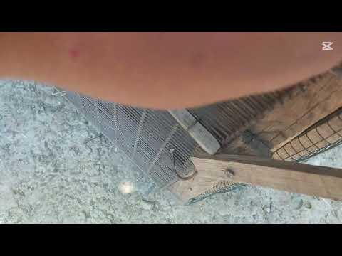Günlük Vlog Gün 1 Hemen izle  NOT AKŞAM BEKKI BALIK TUTMA VIDEOSU GELİR 