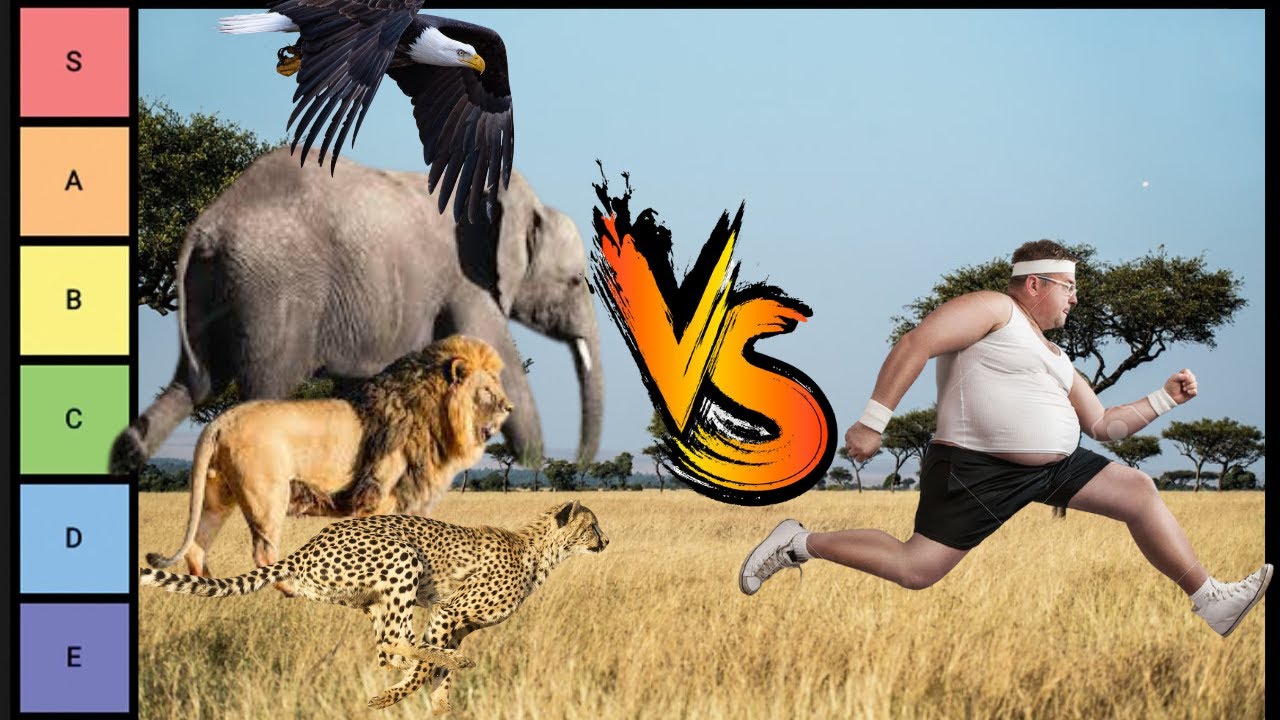 Animals VS humans tier list - YouTube