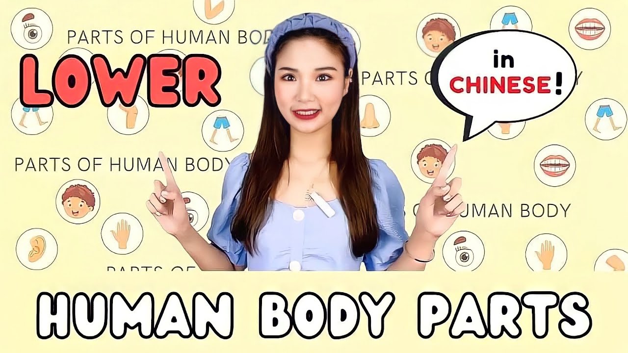 Learn How to Name Your Lower Body Parts / Basic Chinese - YouTube