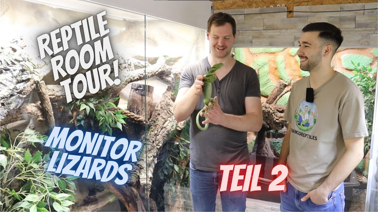 Reptile Room Tour mit Waranen Teil 2 | MONITOR LIZARD ROOM TOUR 2 - YouTube