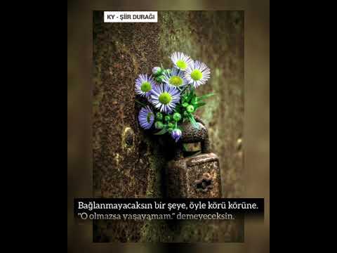 Bağlanmayacaksın - Can YÜCEL