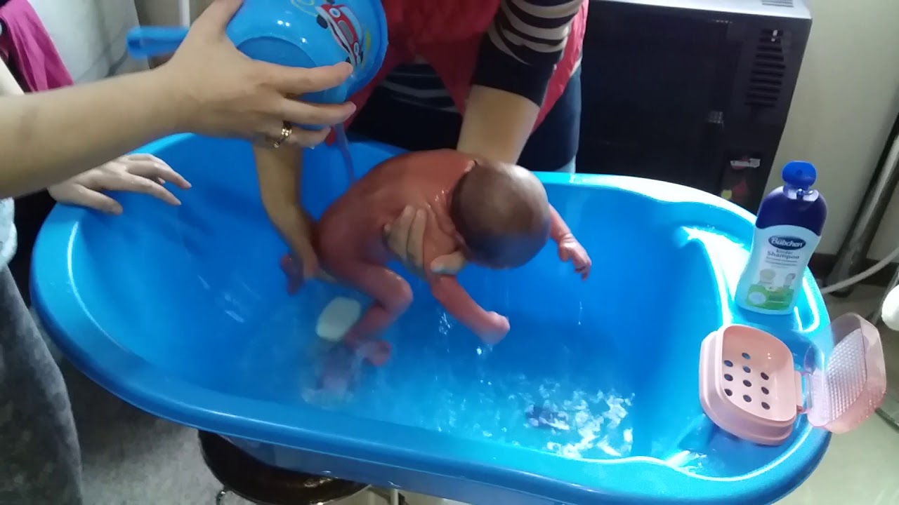 Koalitos pirveli banaoba - YouTube