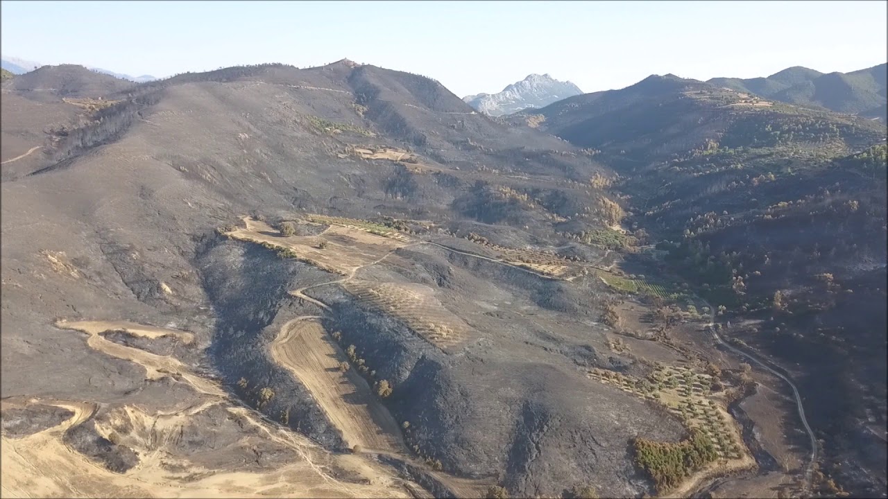 Η ΚΑΤΑΣΤΡΟΦΗ ΑΠΟ ΤΗ ΦΩΤΙΑ ΣΤΗ ΔΥΤΙΚΗ ΑΧΑΙΑ - drone video - YouTube