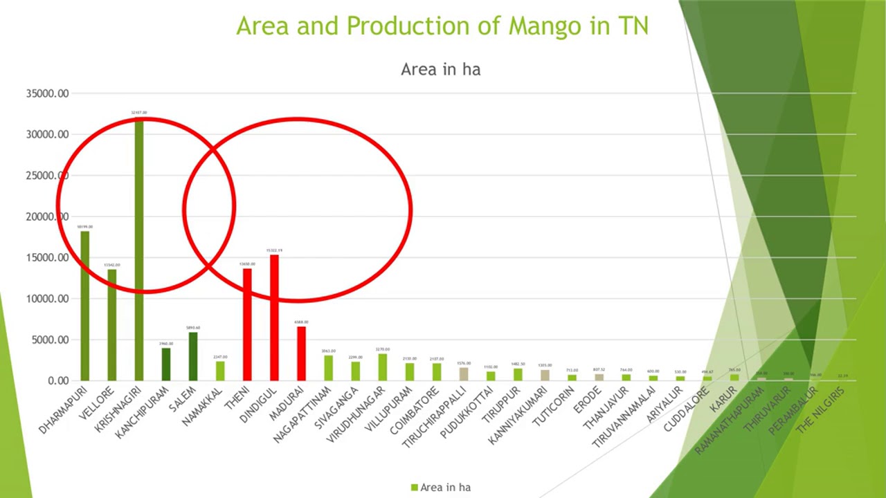 Mango Value Chain Analysis - YouTube