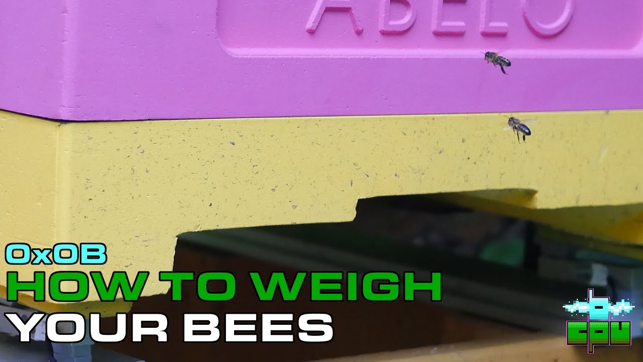 0x0B HOW TO WEIGH YOUR BEES - YouTube