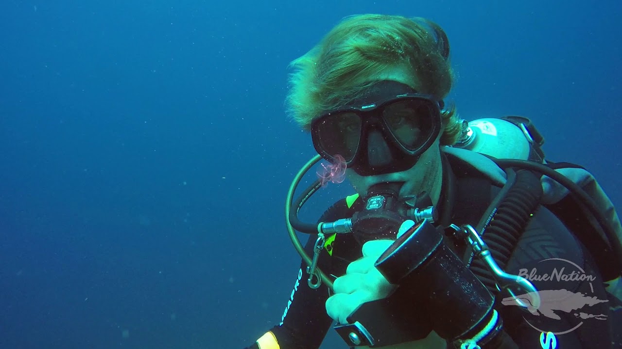 The Colors of the Cortez - Diving in Loreto, Baja California Sur - YouTube