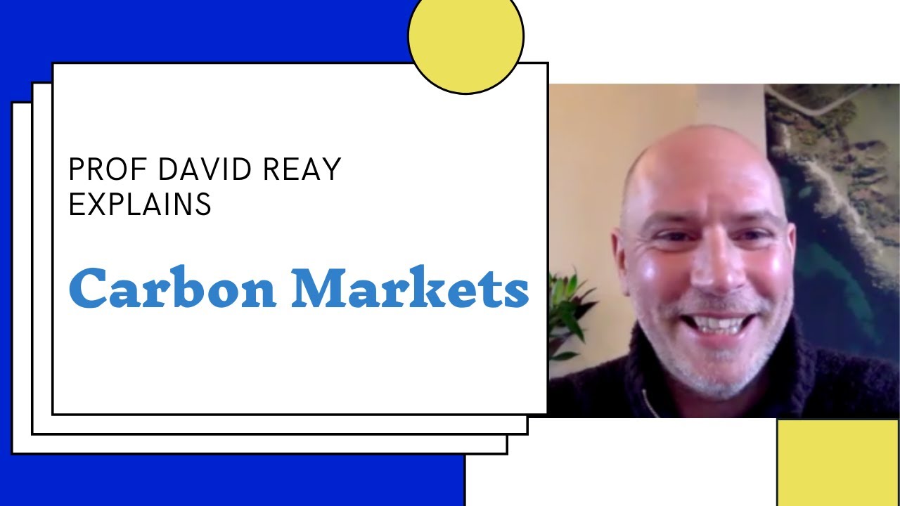 Prof David Reay explains carbon markets - YouTube