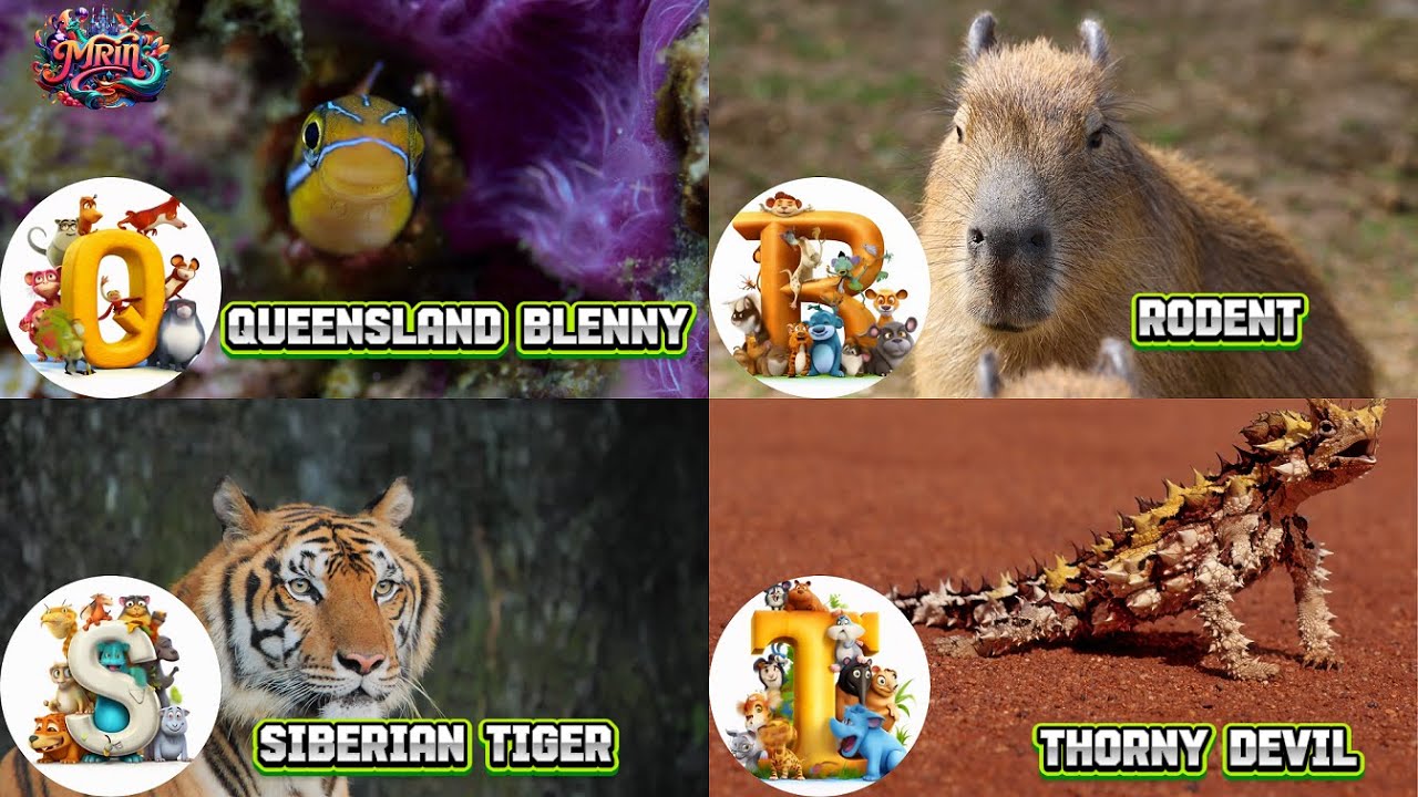 ABC Wild Animals song | Learn Alphabets | English and Animals for Kids ...