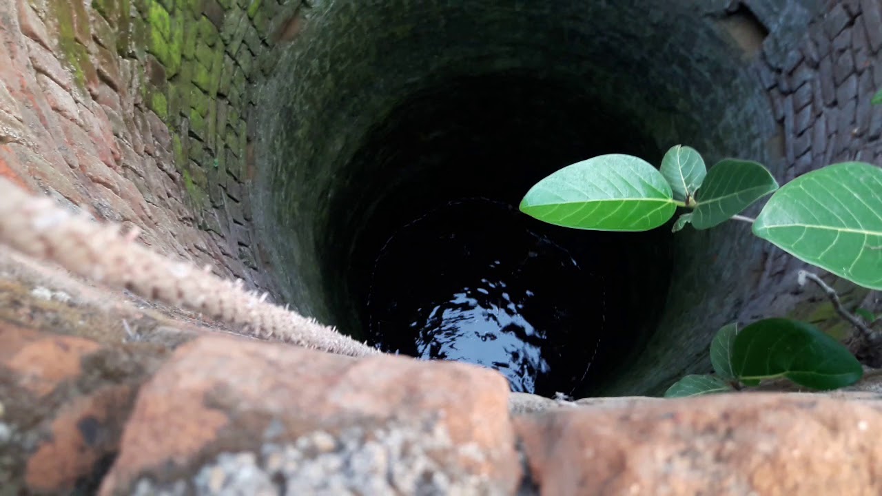 Sharpmitra - Rescue a snake from Well Cobra venomous snake Snake rescue ...