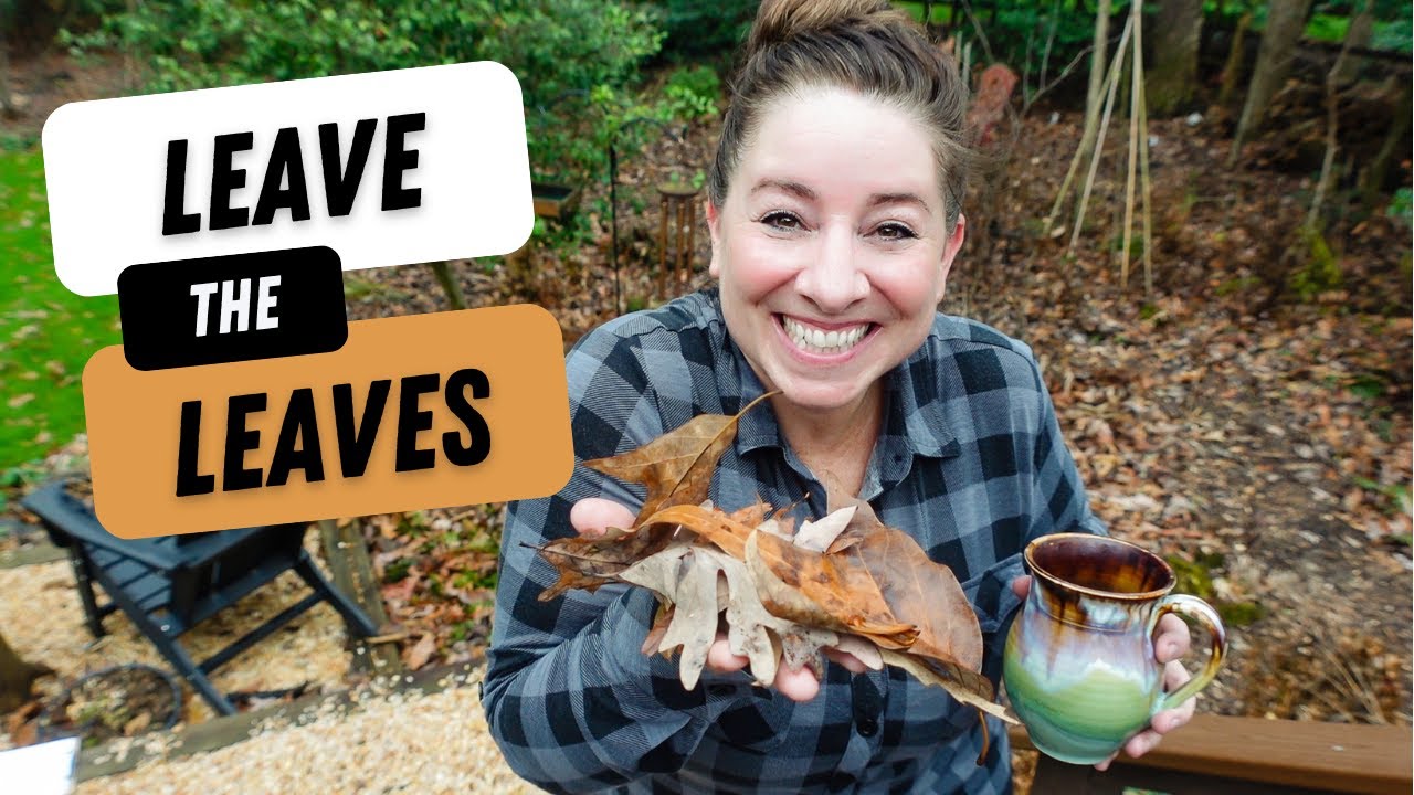 More Free Gardening Supplies? YES, Leave the Leaves! - YouTube