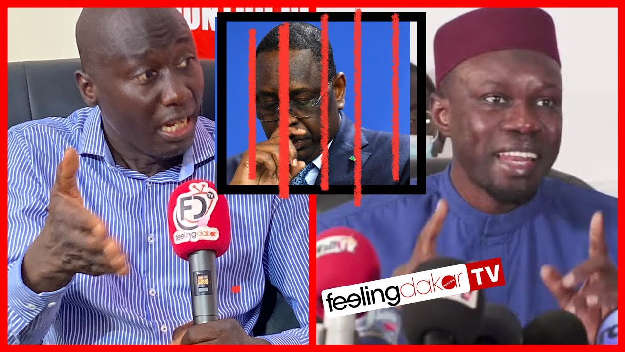 Dame Mbodj Fait De Nouvelles Révélations Affaires Dès Goordjiguennes