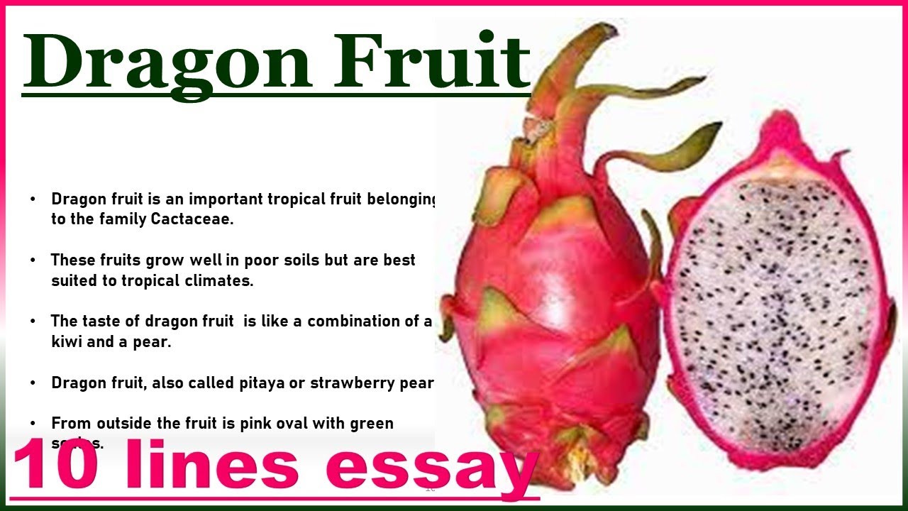 10 lines on Dragon Fruit||10 lines essay on Dragon Fruit - YouTube