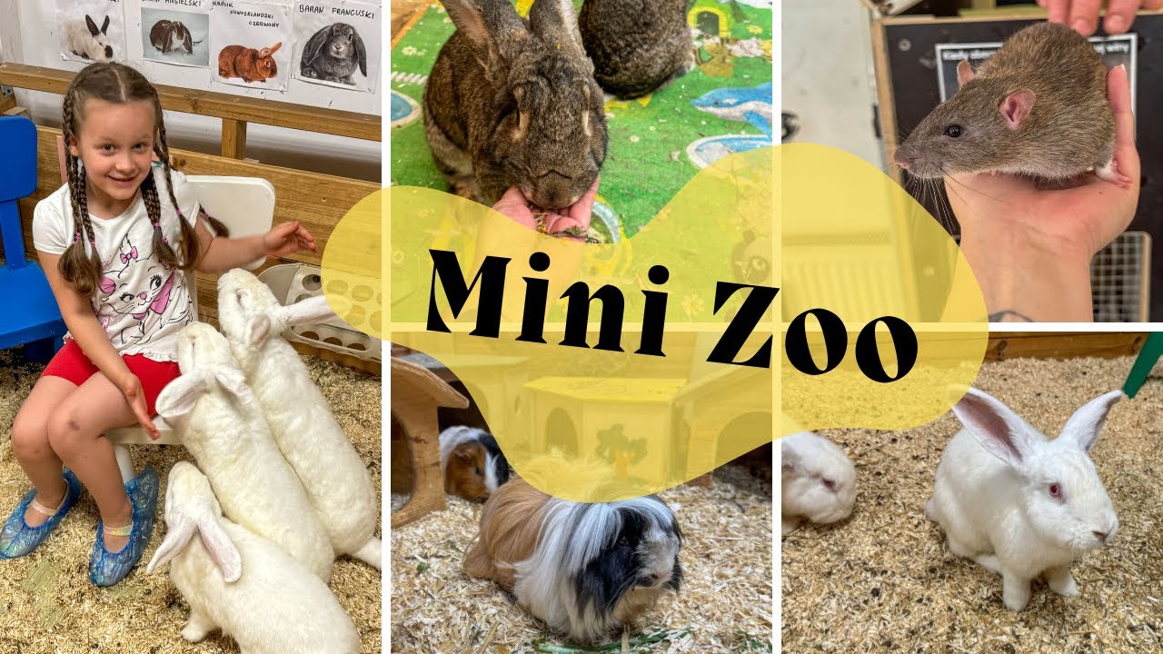 Uszkodzone Oko PSA | Wizyta w Mini Zoo | Przepis na Naleśniki | jedz ...