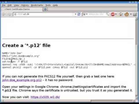 Client Certificate Authentication Login Demo - YouTube