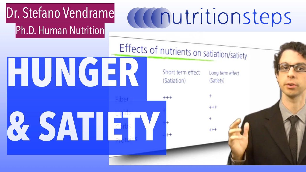 Hunger and Satiety - YouTube