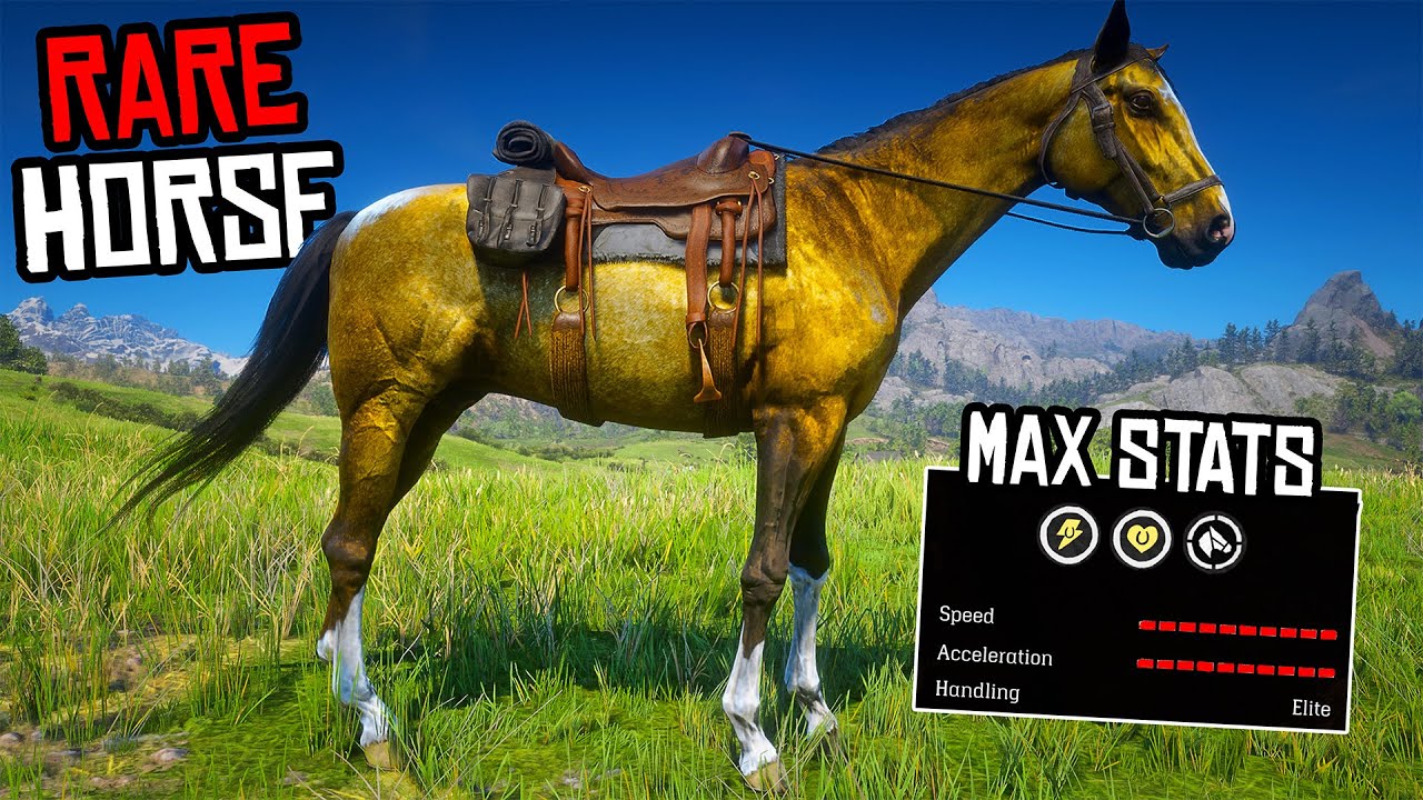 Proper Way To Get The Best & Fastest Gold Turkoman Horse - RDR 2 - YouTube