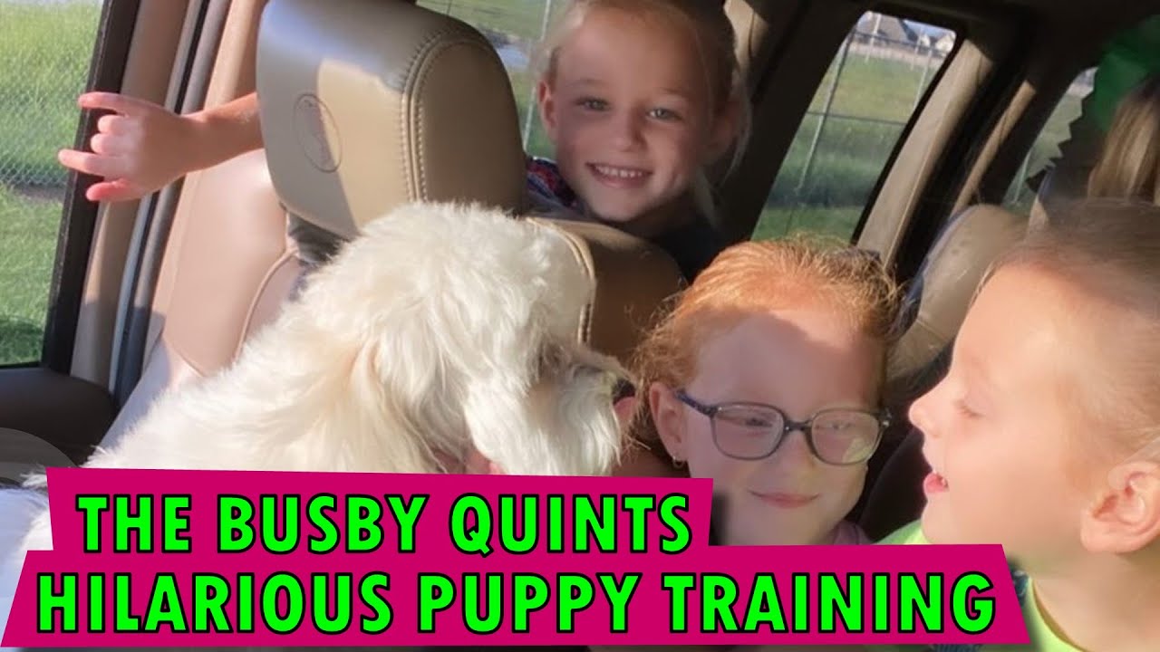 OutDaughtered | The Busby Quints's ULTIMATE Puppy Training Meltdown ...