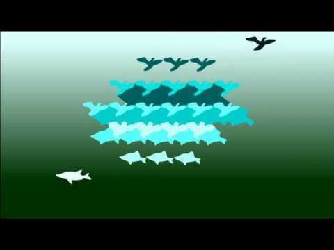 Escher-Like Tiling Art（エッシャー風タイリングアート） - YouTube