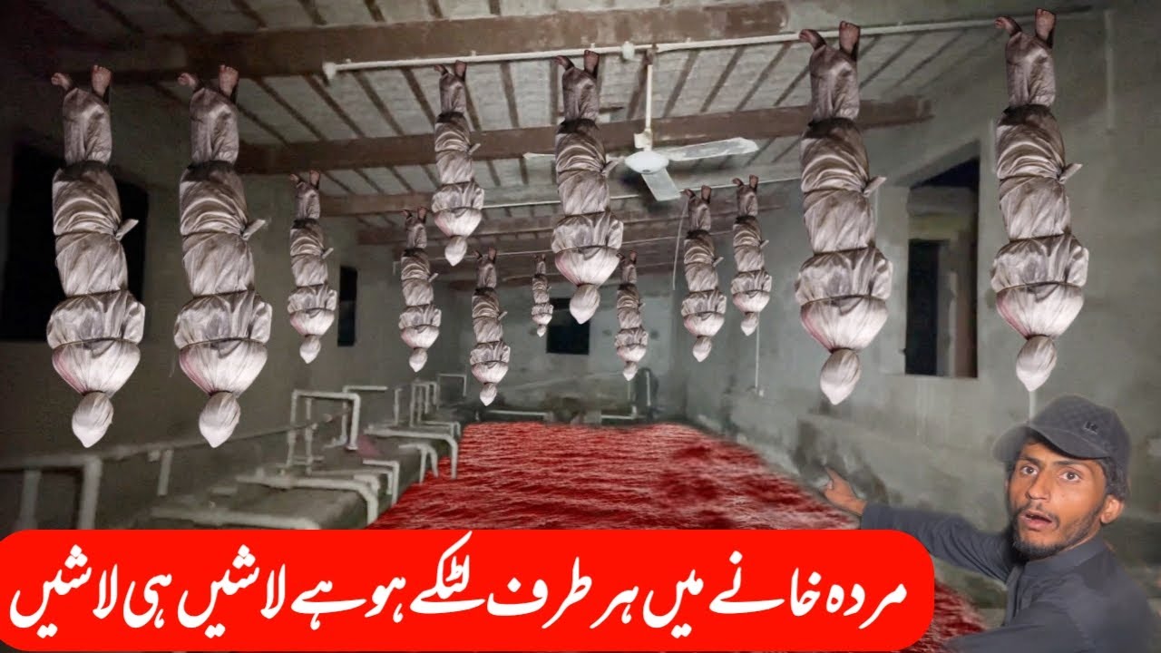 Woh Kya Raaz Hai With Zain Baloch | Murda khana Mai Har Taraf Lash He ...