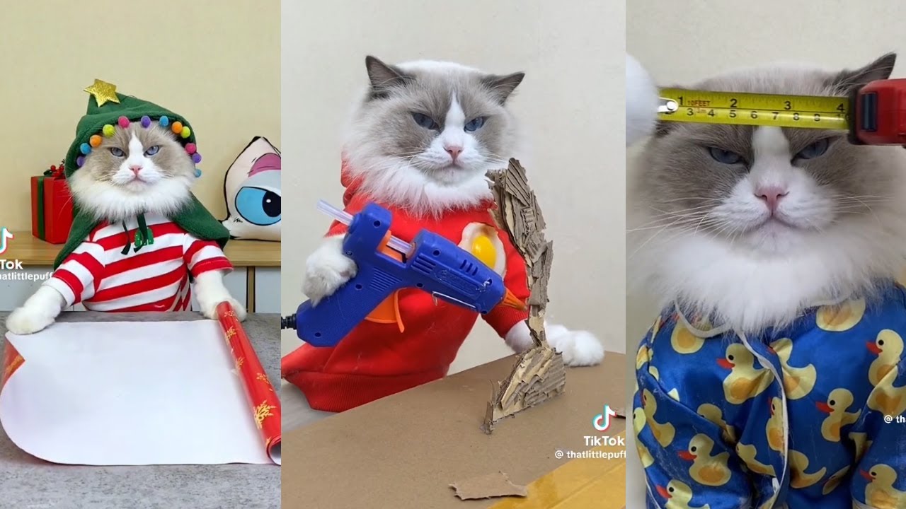 That Little Puff - Best TikToks December 2023 - YouTube