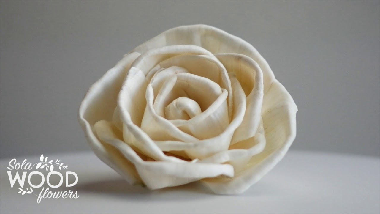 Sola Wood Flower Bird Rose - YouTube
