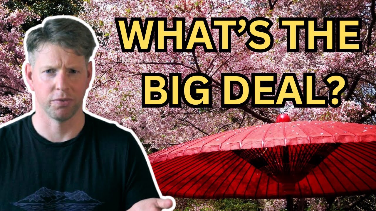 Japan's Sakura Obsession Explained - YouTube