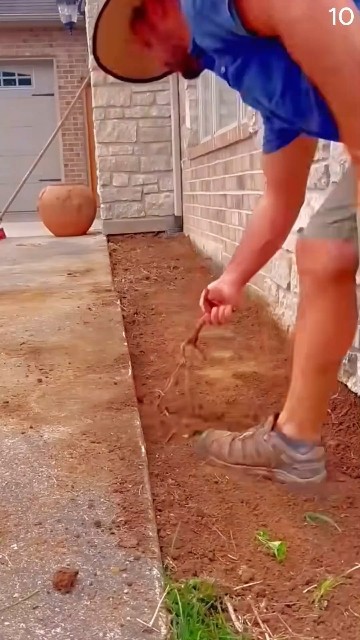 Cerdas, unik dan kreatif cara menanam tanaman pada pot #shorts - YouTube