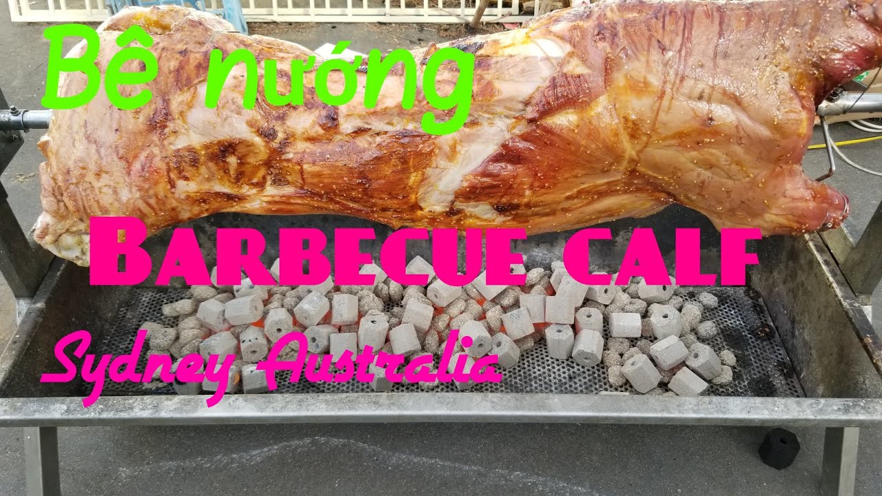 Xem người việt ở úc nướng con bê34 kg ăn nhậu! Barbecue calf ! Sydney ...