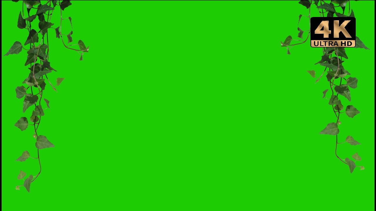 hanging grass plant green screen effect - YouTube