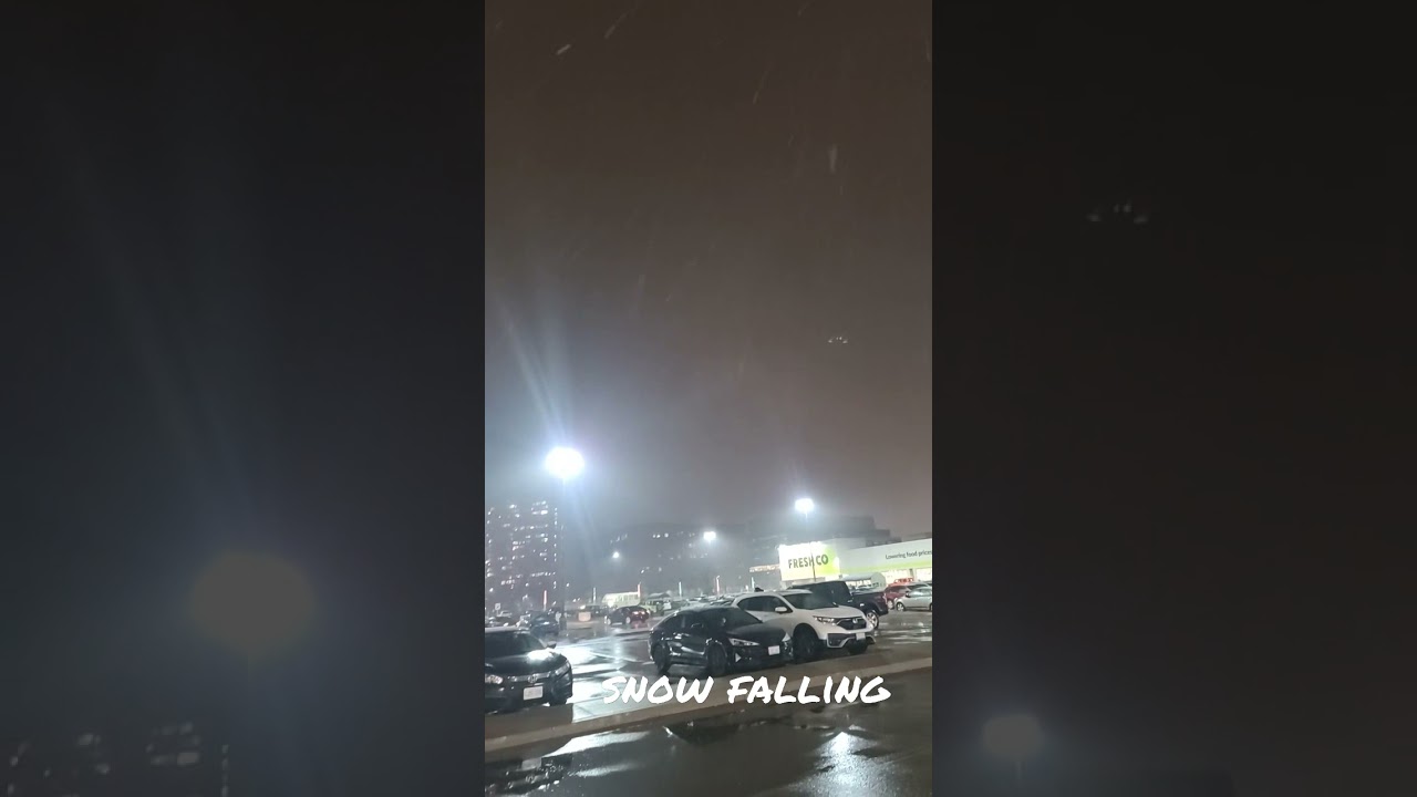 snowflakes ||snow falling||snow || Winters ||Global Village RTF - YouTube