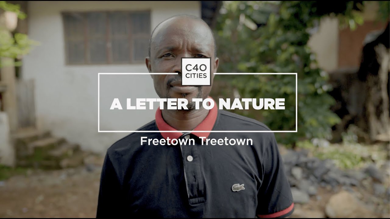 Welcome to Freetown the Tree Town - YouTube