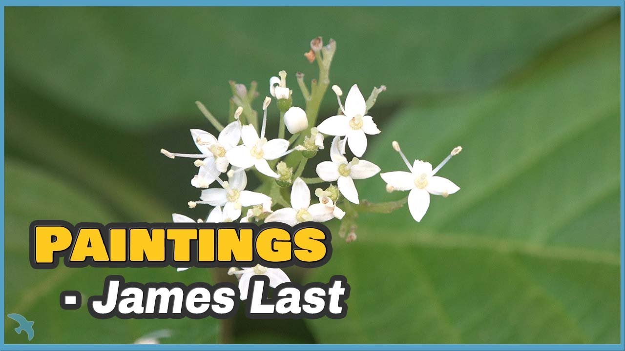 [4K] James Last - Paintings 1979 - YouTube